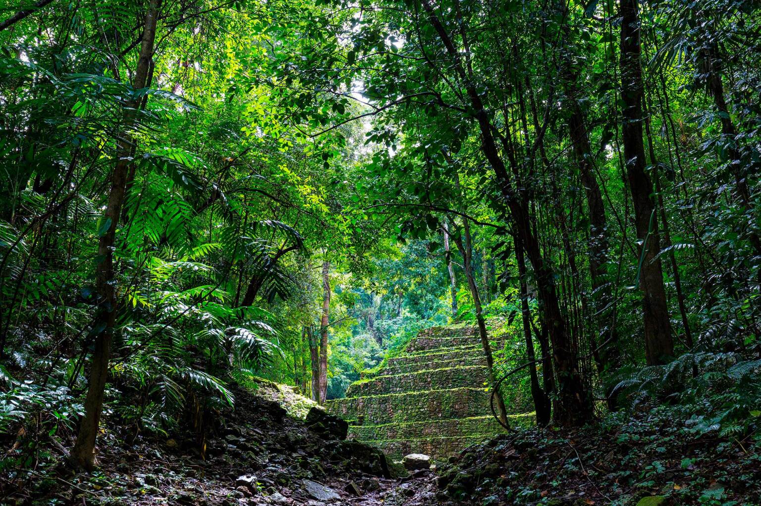 La selva Lacandona, el México más salvaje.