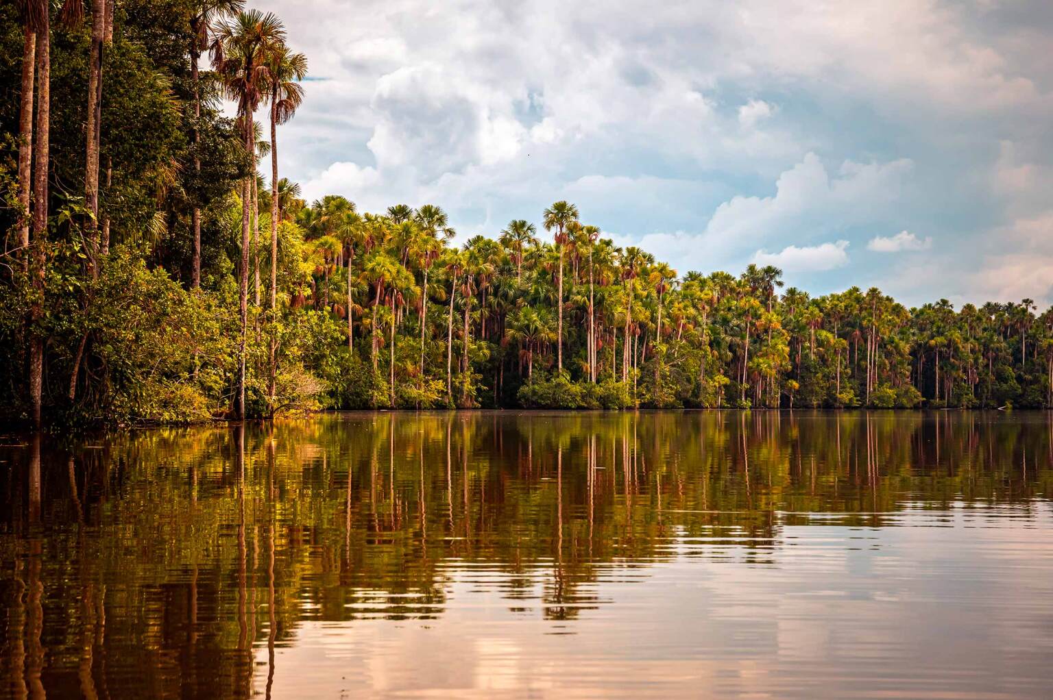 Viaje a Perú. De los Andes a la selva amazónica