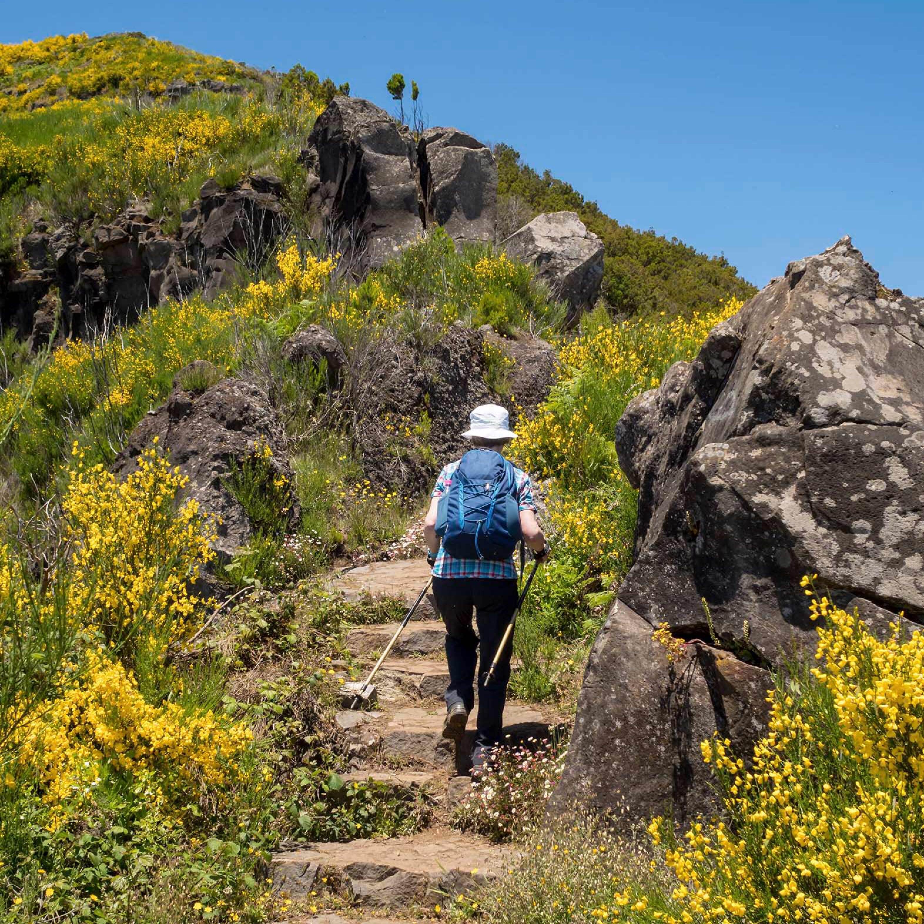 Madeira: Excursión a los Picos do Arieiro, Das Torres y Ruivo.